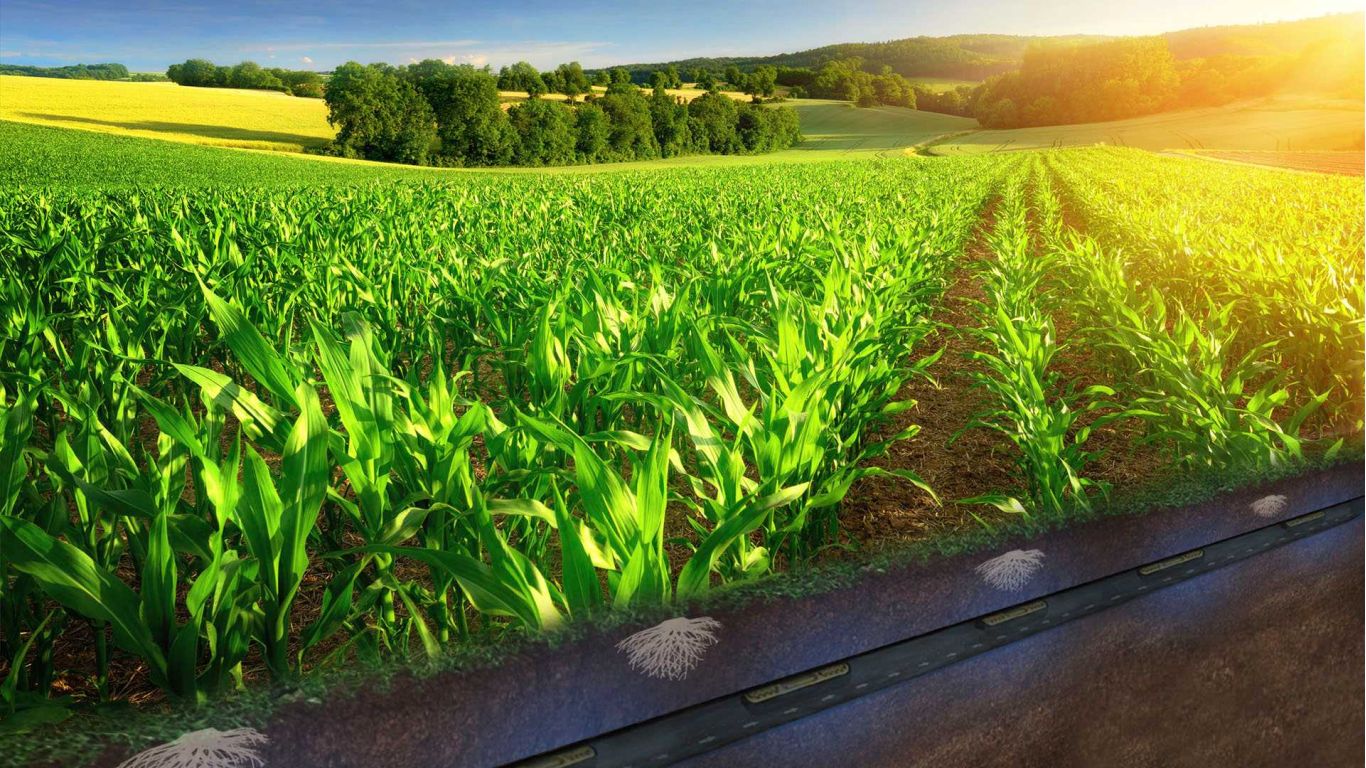 ΑΓΡΟΔΟΜΗ - ΑΡΔΕΥΣΗ, ΥΔΡΕΥΣΗ - agrodomi.gr